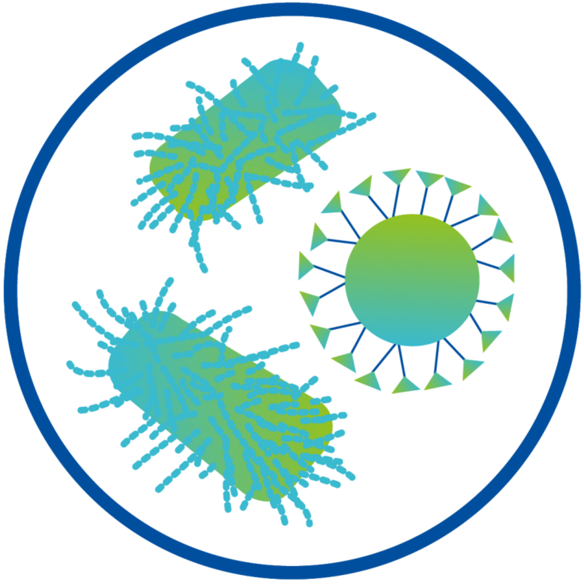 ChemCon | GMP Polyoxazoline for Pharmaceutical Use